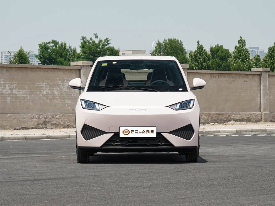 Smart Driving System BYD Seagull Smart Driving Edition New Energy ...