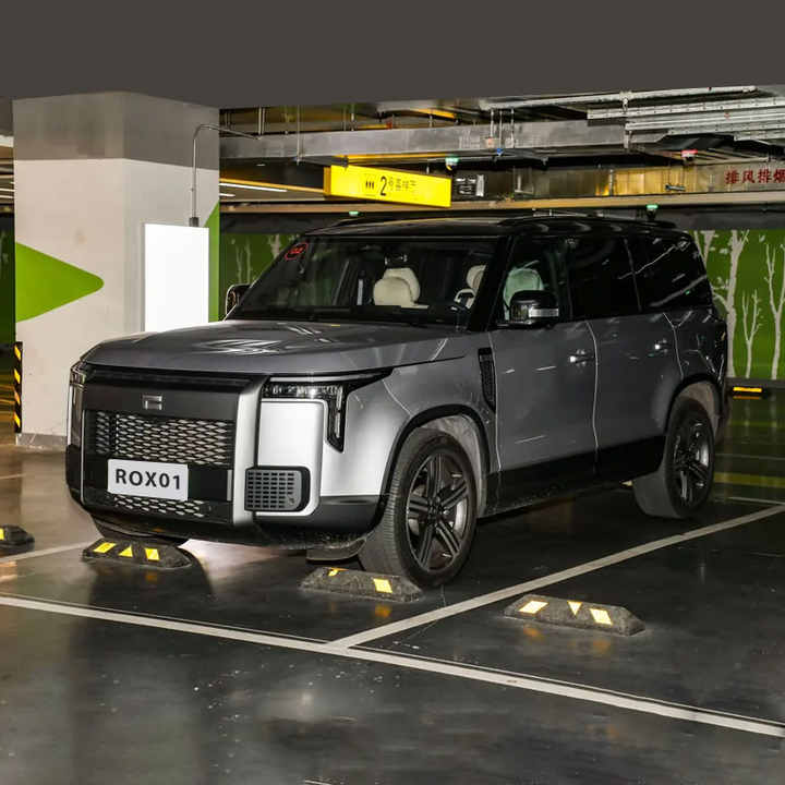 2025 2026 Jishi New Energy Vehicles Ev Full Electric Car