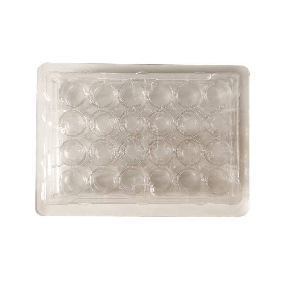 Transwell Plate, Cell Migration Assay Plate, Cell Culture Insert, 12 ...