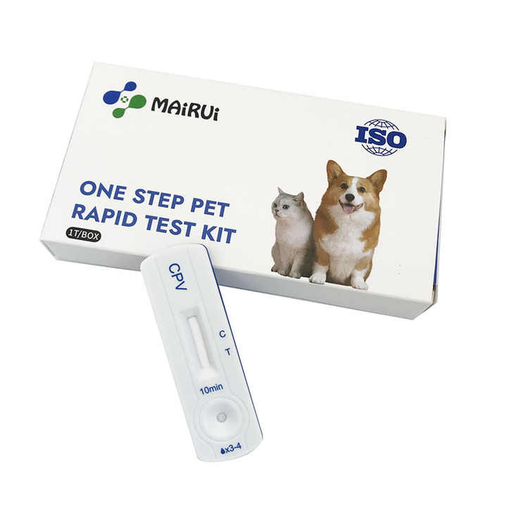 Canine Parvovirus Rapid Diagnostic Test Strip Kit Veterinary CCV/CDV ...
