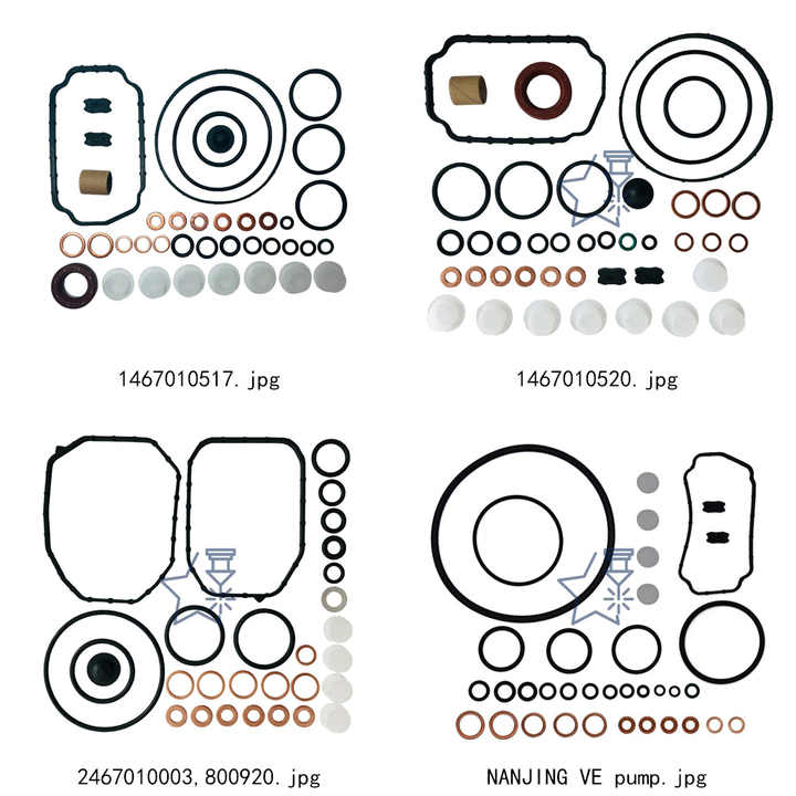 2467010003 VE Fuel Injection Pump Repair Kit 800920 for Iveco, Renault ...