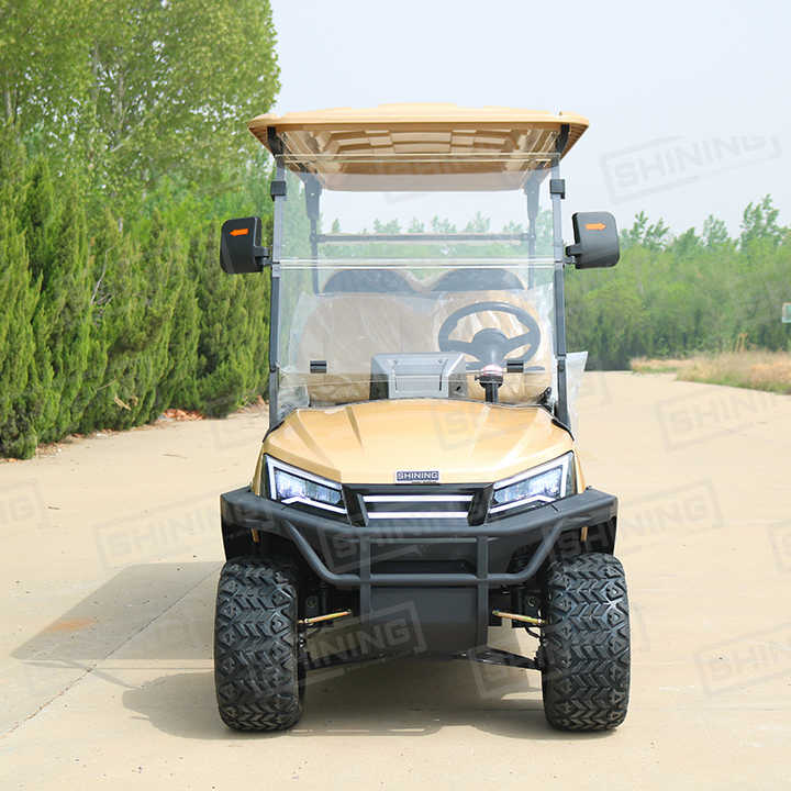 Shininglsv 48V Street Legal Electric Golf Carts With 5KW Motor 6-Seater ...