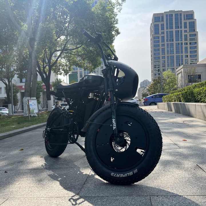 Bicicletas eléctricas recreativas de ciudad neumáticos de 20 pulgadas ...