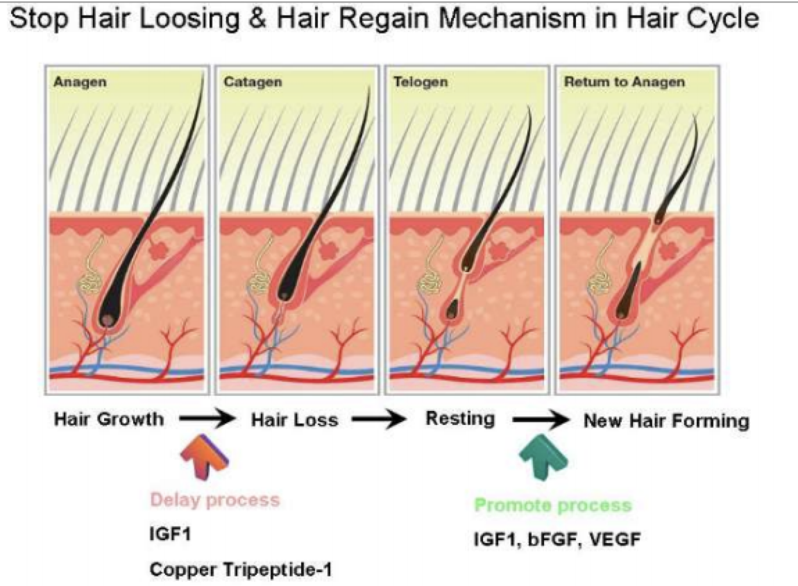 Advanced Laser laser hair growth device with Diode Technology for Hair ...