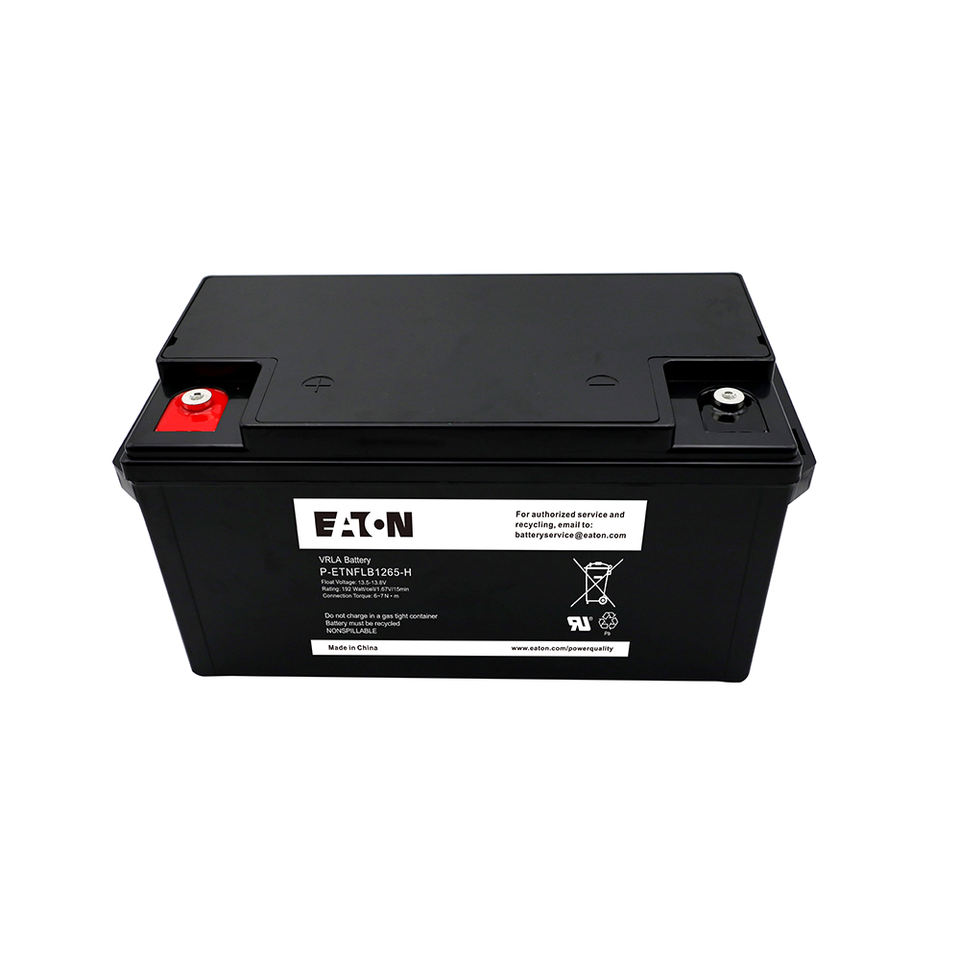 Eaton UPS Battery Backup ETNFLB1265-H Lead Acid UPS Battery 12V 65AH ...