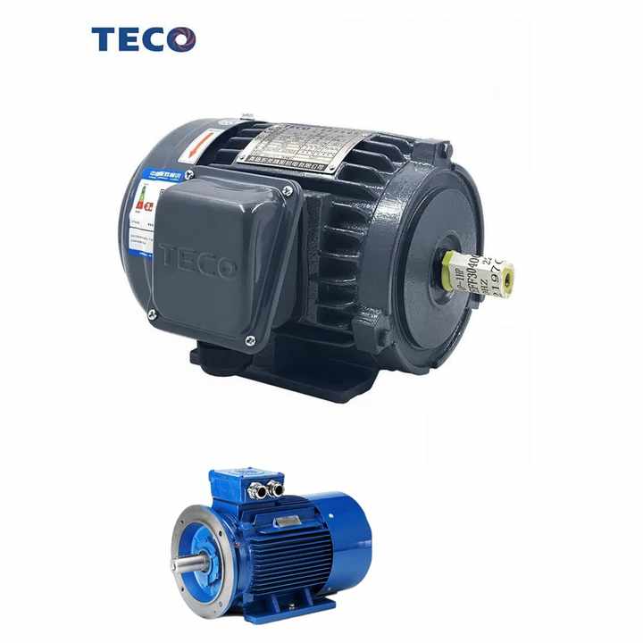 TECO Motors - High Performance 3 Phase Induction Motors