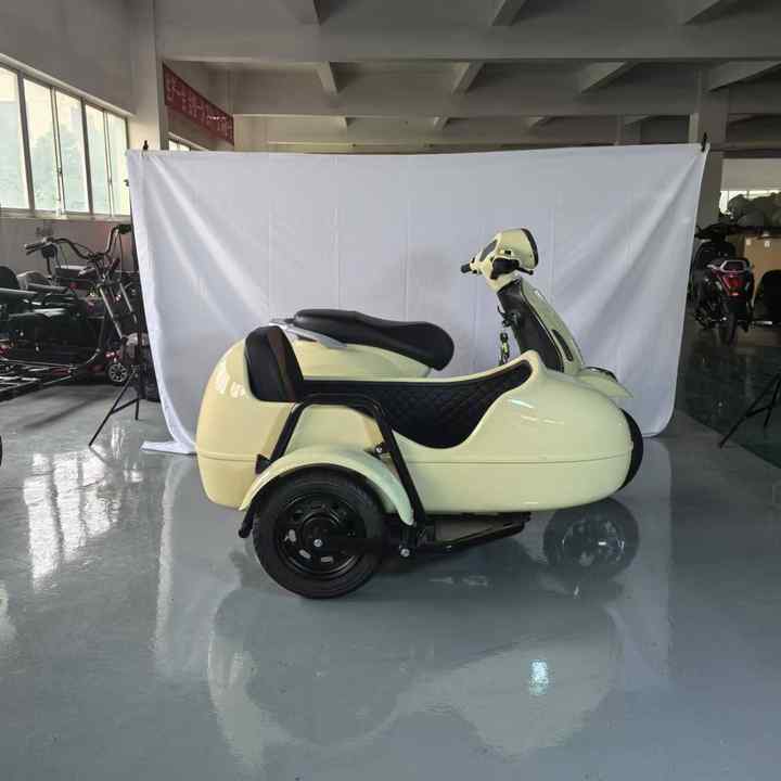 Tesla Electric Side-by-Side Tricycle 1500W for 3 Passengers