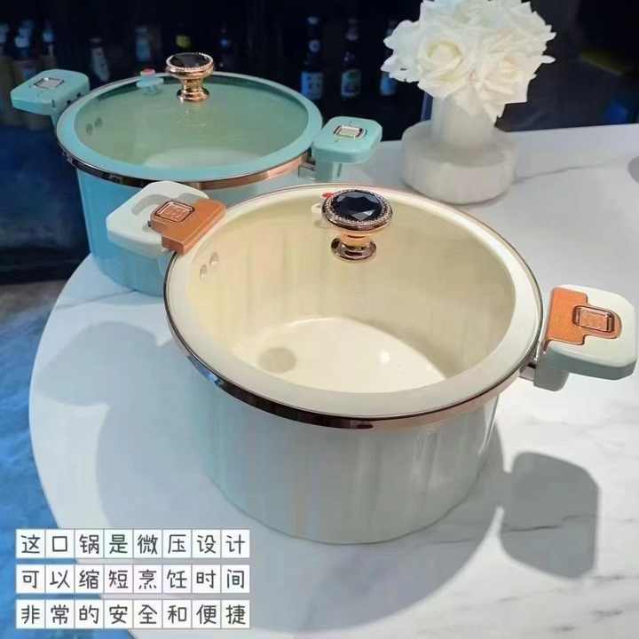 Micro Pressure Cooker with Maifan Stone - Versatile Cooking