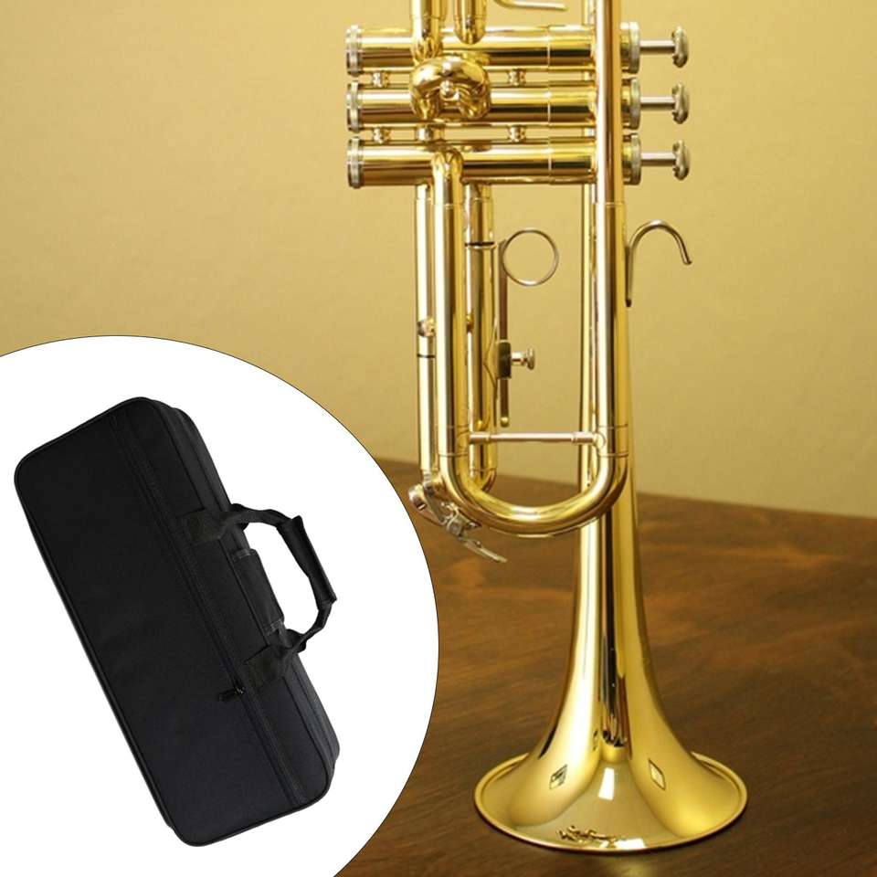Musical Instrument Bag Birthday Gifts Practical Durable Waterproof ...
