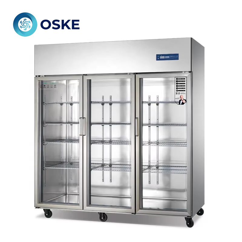 Stainless Steel Commercial Refrigerators - High Quality