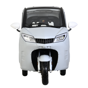 Buy Electric Car Makers in India | Premium Low-Speed EVs for Adults
