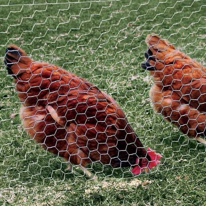 QG PVC Galvanized Poultry Farms Fence Hexagonal Wire Netting Chicken ...