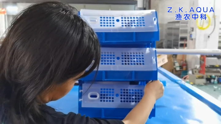 Mud Crab Farming Boxes for Vertical Crab Farming Success
