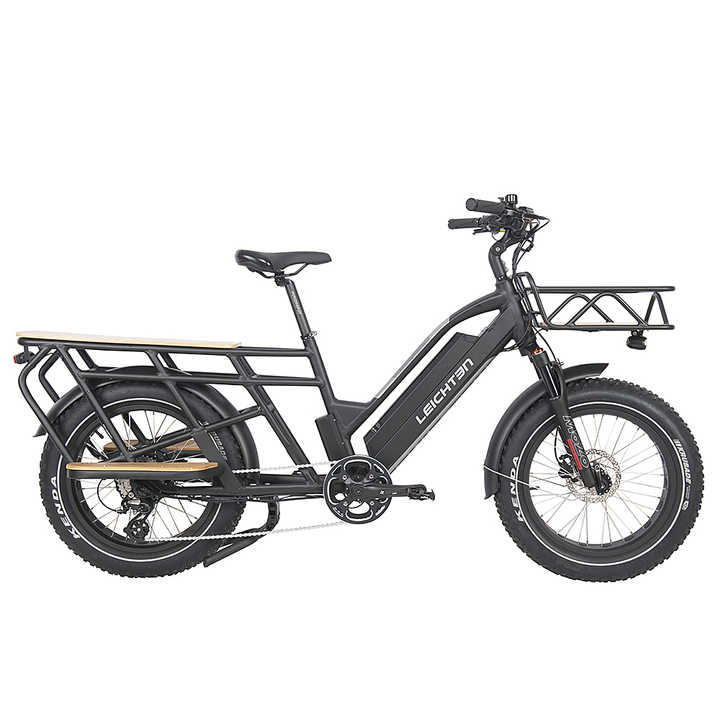 High End 2 Wheel Long Tail Fat Tire Electric Bike 500W 750W Family ...