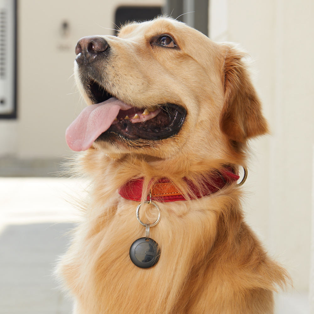 How to Choose the Best Airtags for Tracking Your Belongings