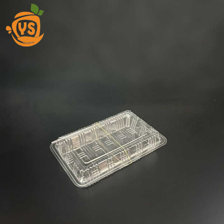 Ops Transparent Disposable Plastic Lunch Box Clear Clamshell Sushi ...