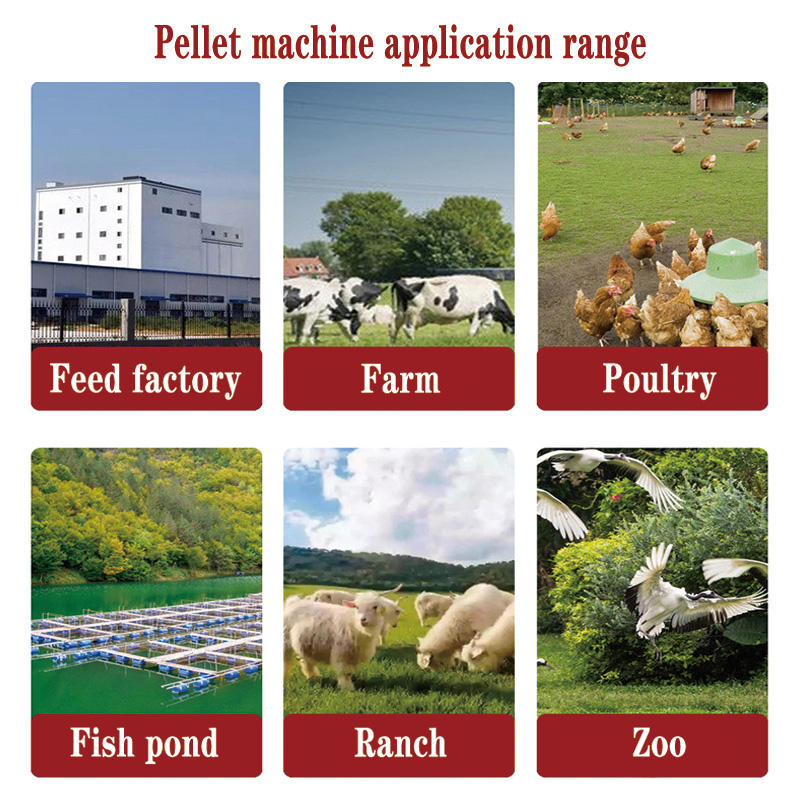 New High Productivity Diesel Engine Feed Pellet Machine 150KG/H ...