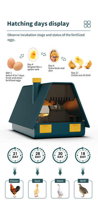 WONEGG NEW Trend Little House 10 Egg Incubators Hatching Eggs Incubator ...
