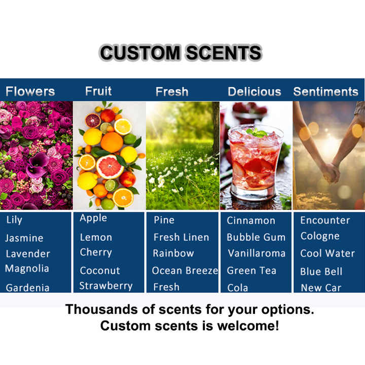 Customized Design Paper Scented Car Air Freshener