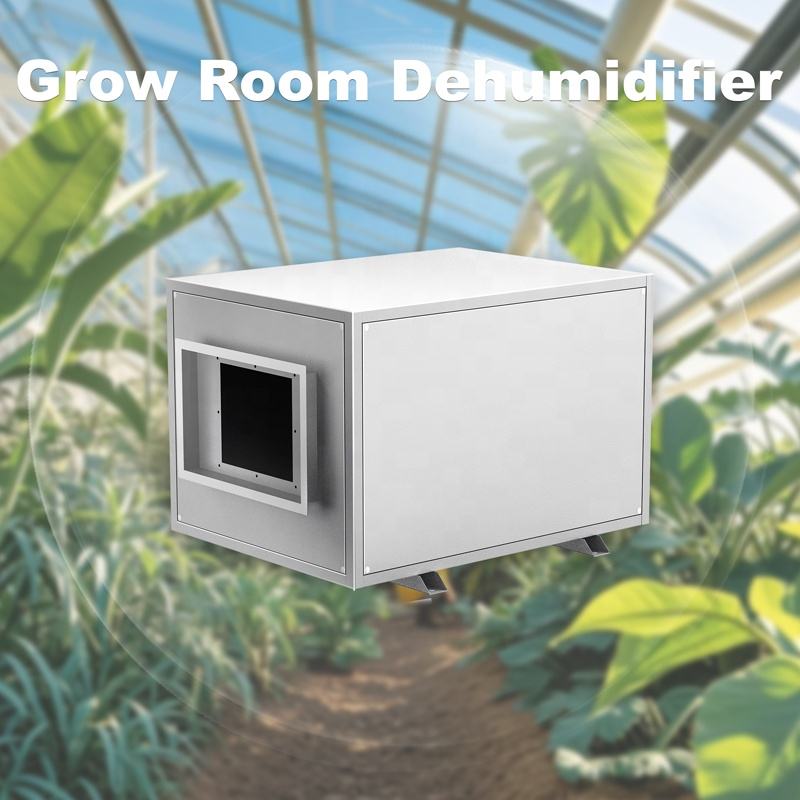 Shiman New Hot Sale 720L/D Capacity 380V 50Hz Energy Saving Industrial ...