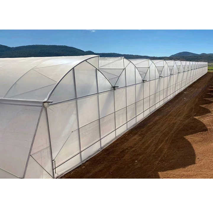 Agricultural Vegetable Galvanized Frame Film Structure
