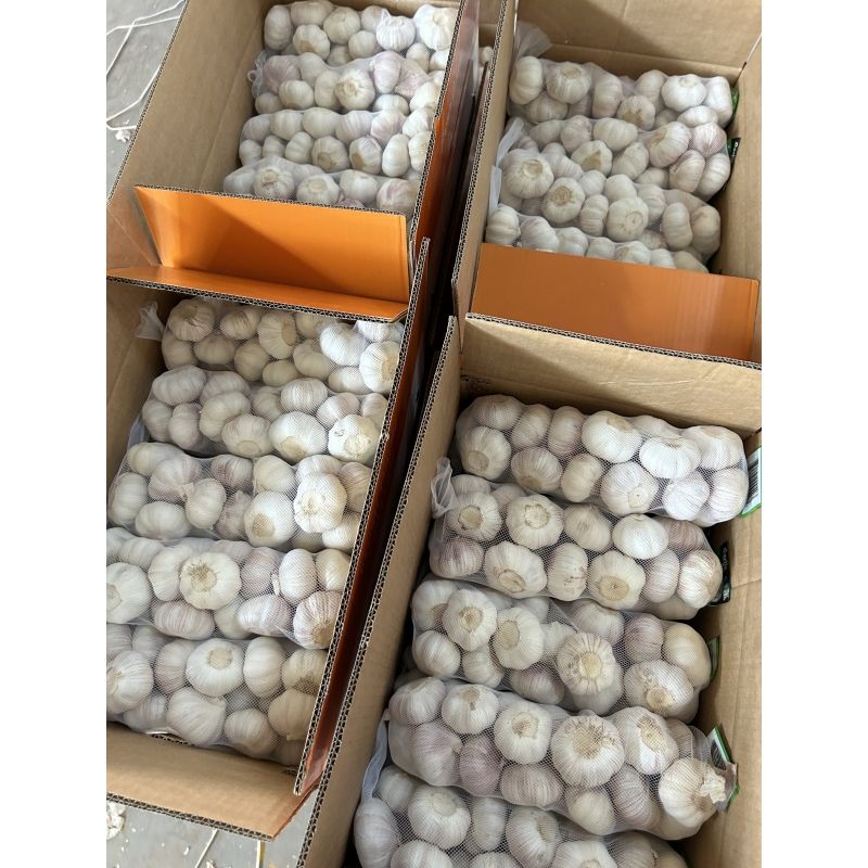 How to Choose the Best Good: A Complete Buying Guide