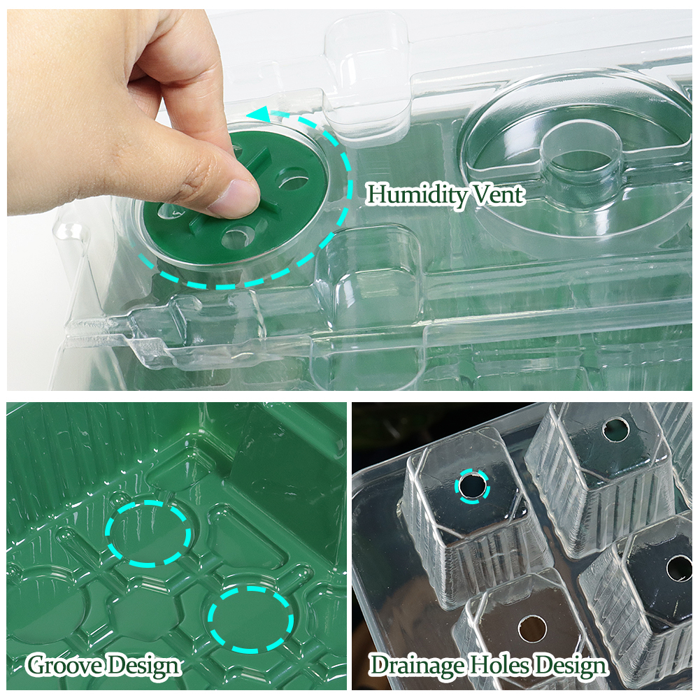 How to Choose the Best Garden Plant Growing Kit Mini for Kids