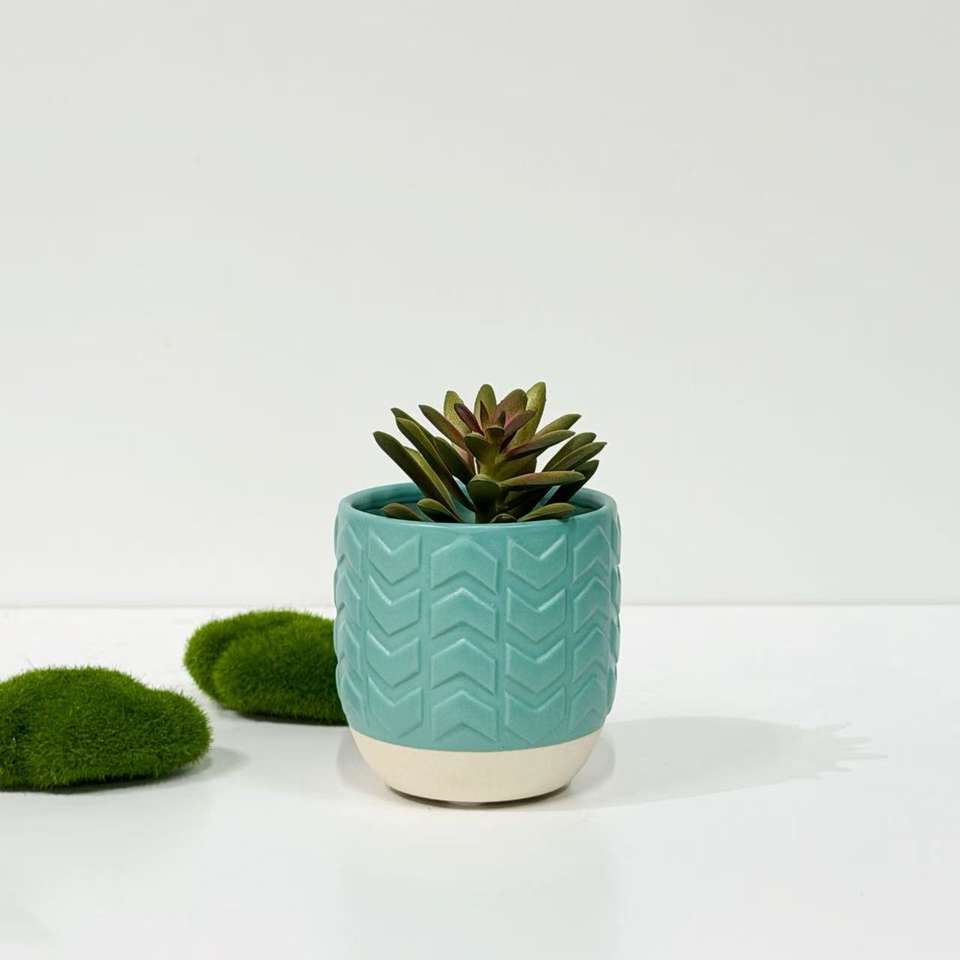 Turquoise Herringbone Ceramic Planters - Indoor/Outdoor Succulent ...