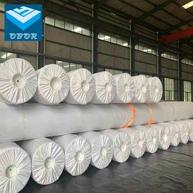 HDPE Geomembranes 0.5mm 0.75mm 1.0mm 1.5mm Geomembrane HDPE Pond Liner Price for Fish Pond Liner ...