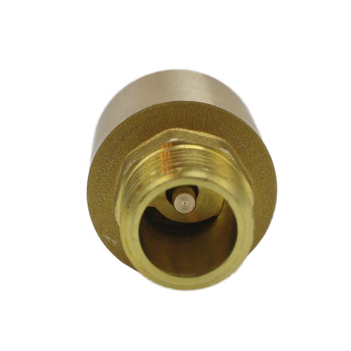 1/2" Inch Vertical Spring Brass Male Threaded Non Return Valve Foot ...