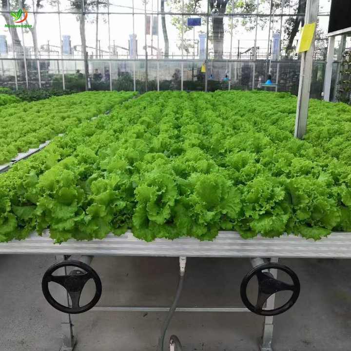 Durable Hydroponic Bed Rolling Bench Grow Table 5x5 for Plants
