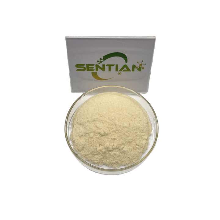 High Quality Serrapeptase Enzyme Powder Factory Supplied Nutrition ...