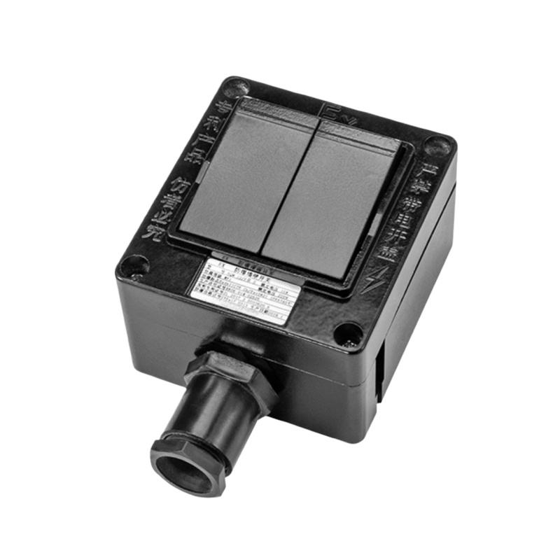 ATEX IP65 Waterproof 220V 10A 1-Gang 2-Gang 2-Way GRP Explosion-Proof ...
