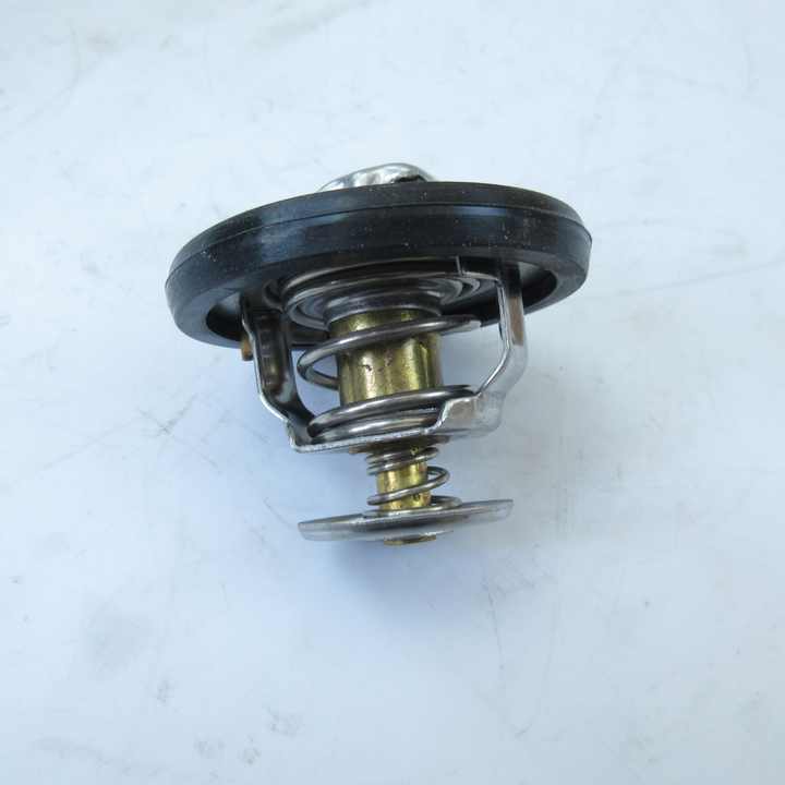 Genuine Auto Thermostat for Ford Transit V348 - High Quality