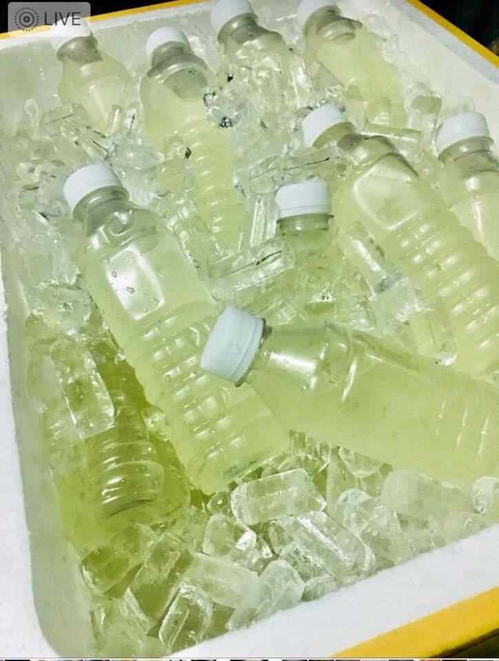 How to Choose the Best Gum Aloe for Oral and Gum Health