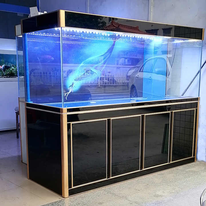 Black Dragon Fish Tank - Free Water Change & Large Office Aquarium