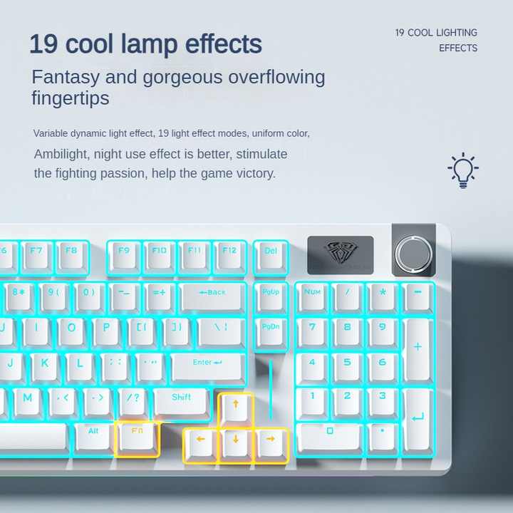 AULA S98 Mechanical RGB Keyboard Wired Desktop 98 Key Game Keyboard ...