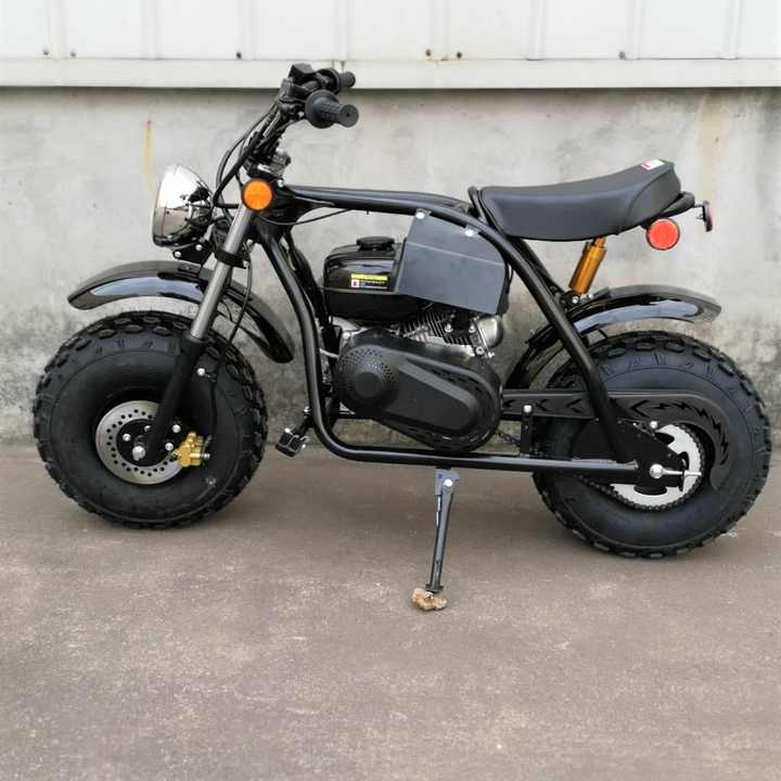 2020 New 196CC Mini Chopper Motorcycle for Sale - Gas Engine, Easy Pull ...