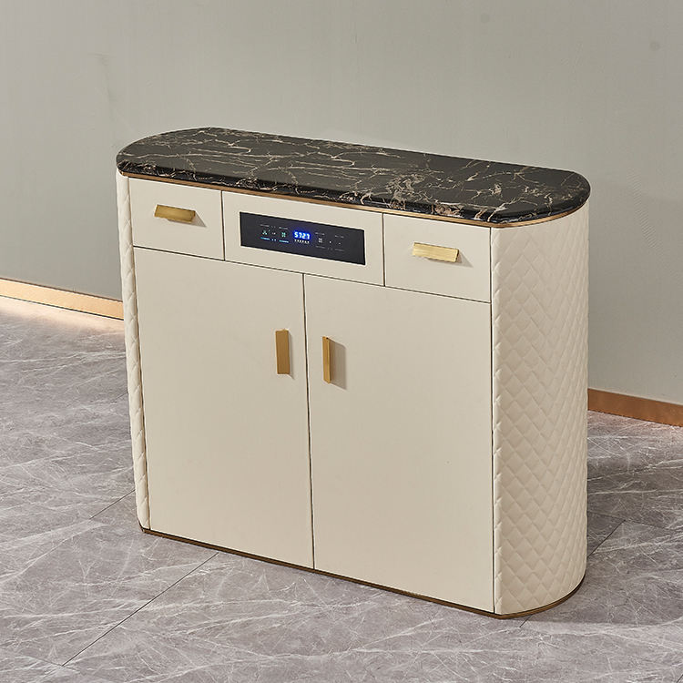 X01 Luxury High Technology Home Furniture - Smart Shoe Cabinet