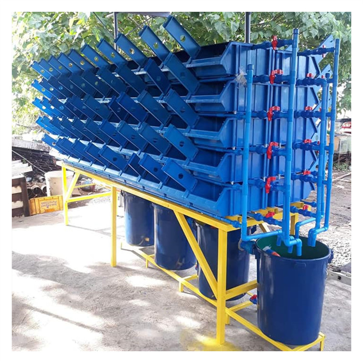 Crab Farming Boxes - High Quality RAS System Solution