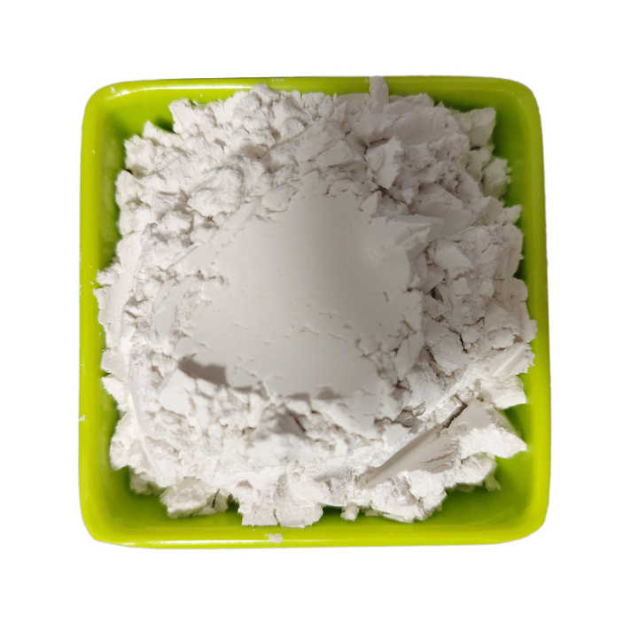 White Diatomite Powder Coating Diatomaceous Earth for Coatings Diatom ...