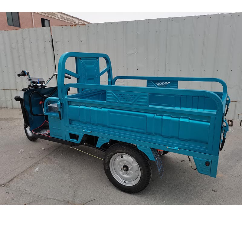 Electric Tricycle China - 3-Wheel Passenger & Cargo Use