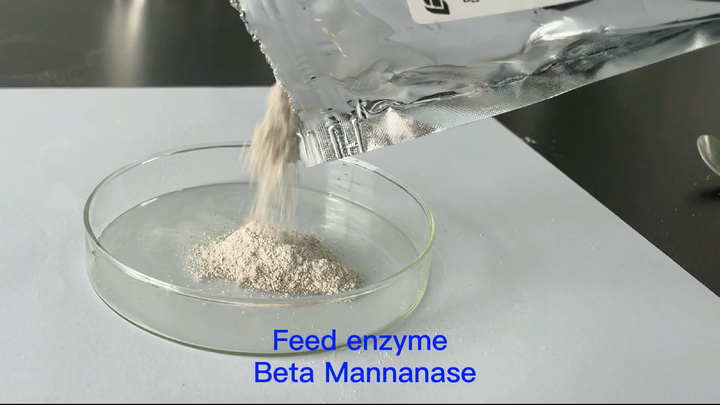 Poultry Enzymes Granules Beta Mannanase Enzyme Enzyme for Animal Feed ...