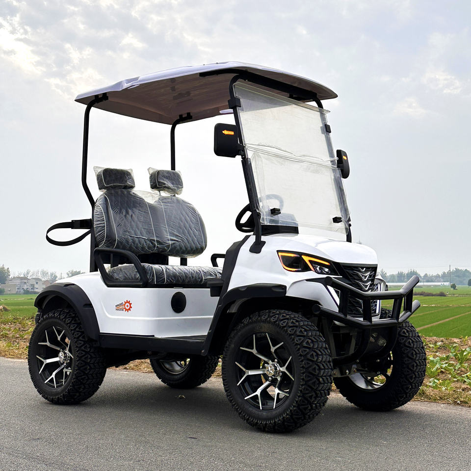 2 Seater Electric Golf Cart - 48V Lithium Battery 80km Range