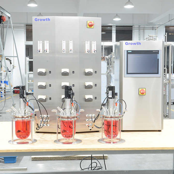 5L Glass Cell Culture Fermenter - Bio Fermentor Bioreactor