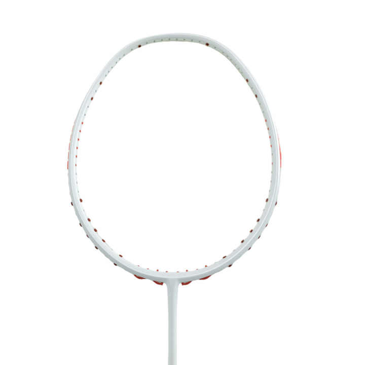 T50 High-Pound Badminton Racket for Training for Beginners to Advanced ...