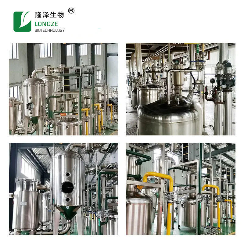 How to Choose the Best Food Supplements Extract: A Complete Buying Guide