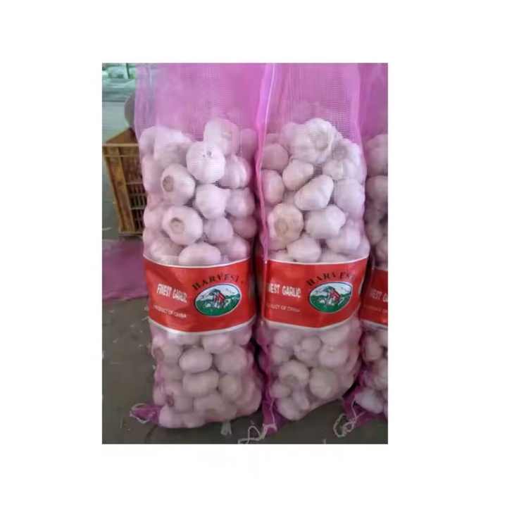 China Organic Garlic Supplier 2025 Fresh Garlic Manufacturer Jining ...