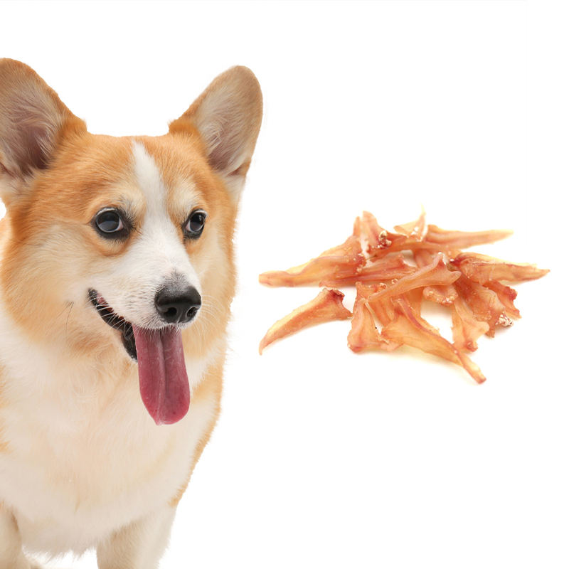 OEM ODM Custom 100% Natural Dry Pet Food High Protein Chicken Cartilage ...
