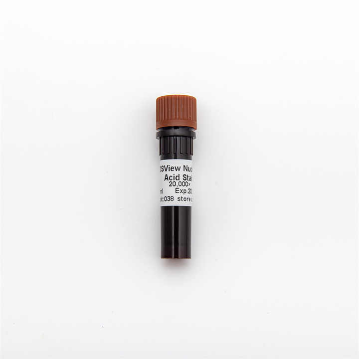 Goldview Nucleic Acid Stain - Safe Alternative to Ethidium Bromide
